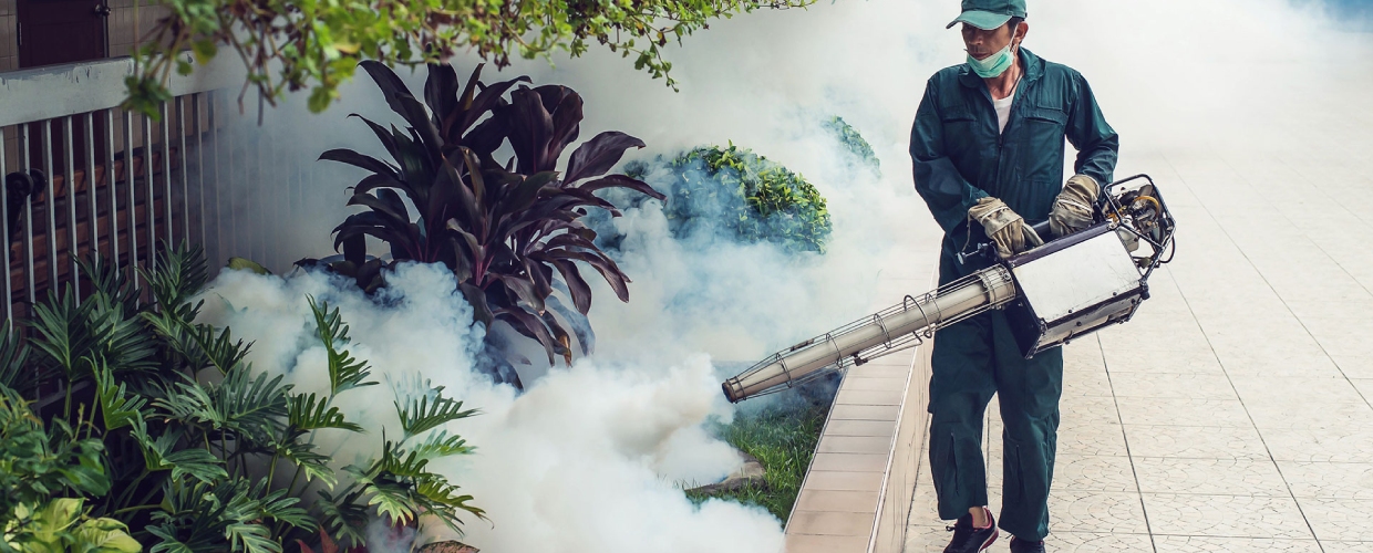 Pest Busters – Pest Control Experts